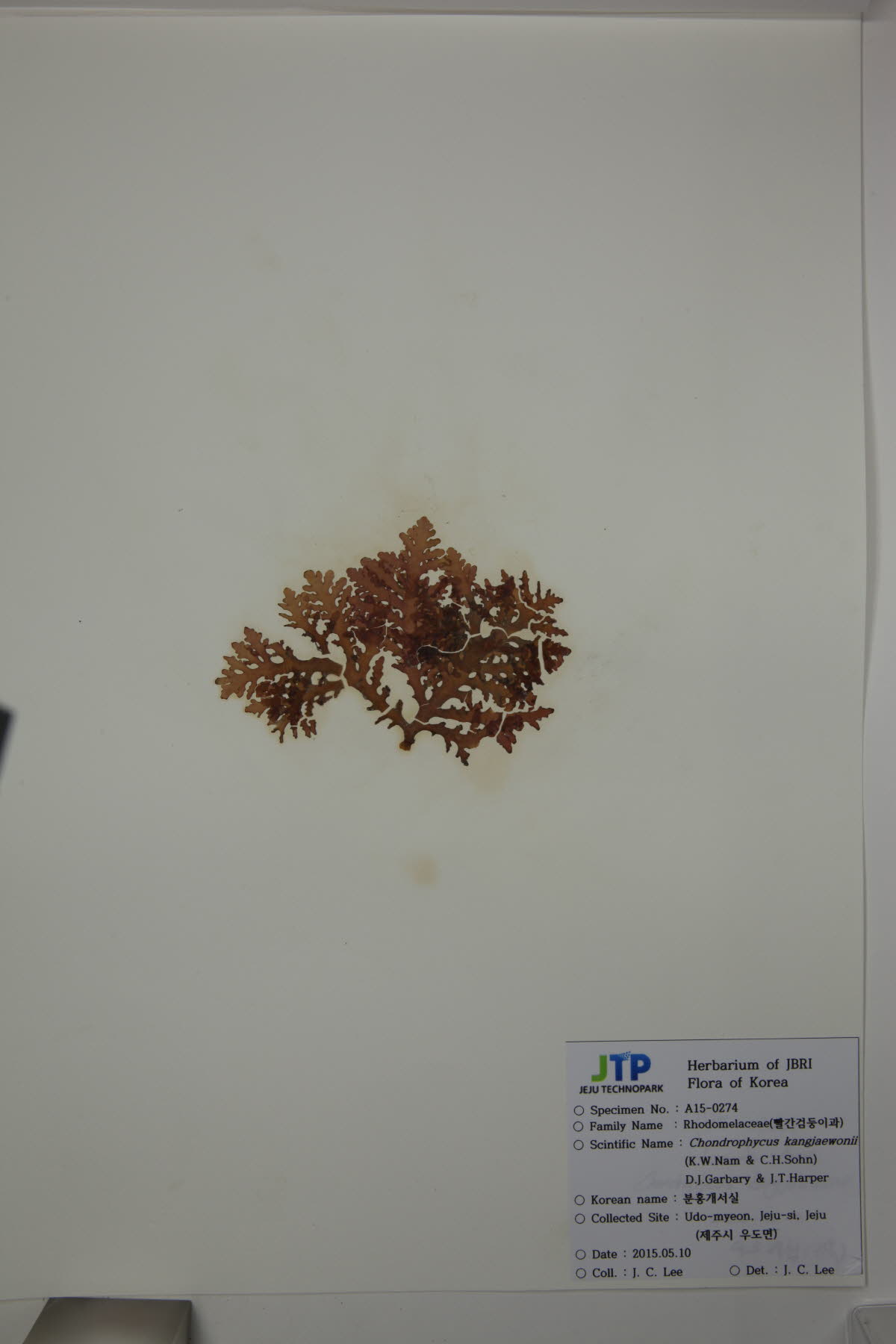 생물종다양성 >보유자원 검색>연구소 보유 생물종>상세